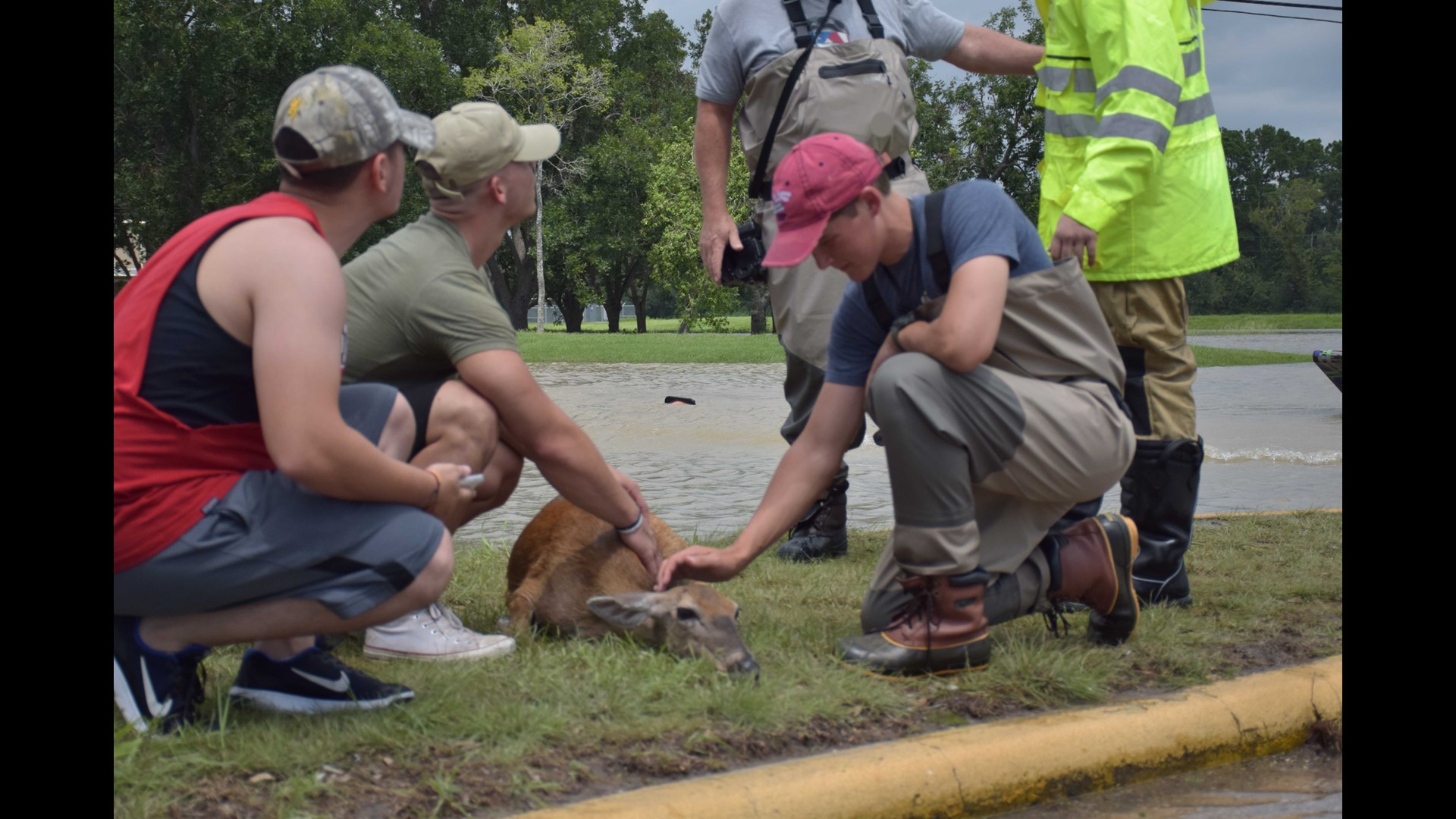 Photos: Addicks Reservoir overflow floods west Houston neighborhoods ...