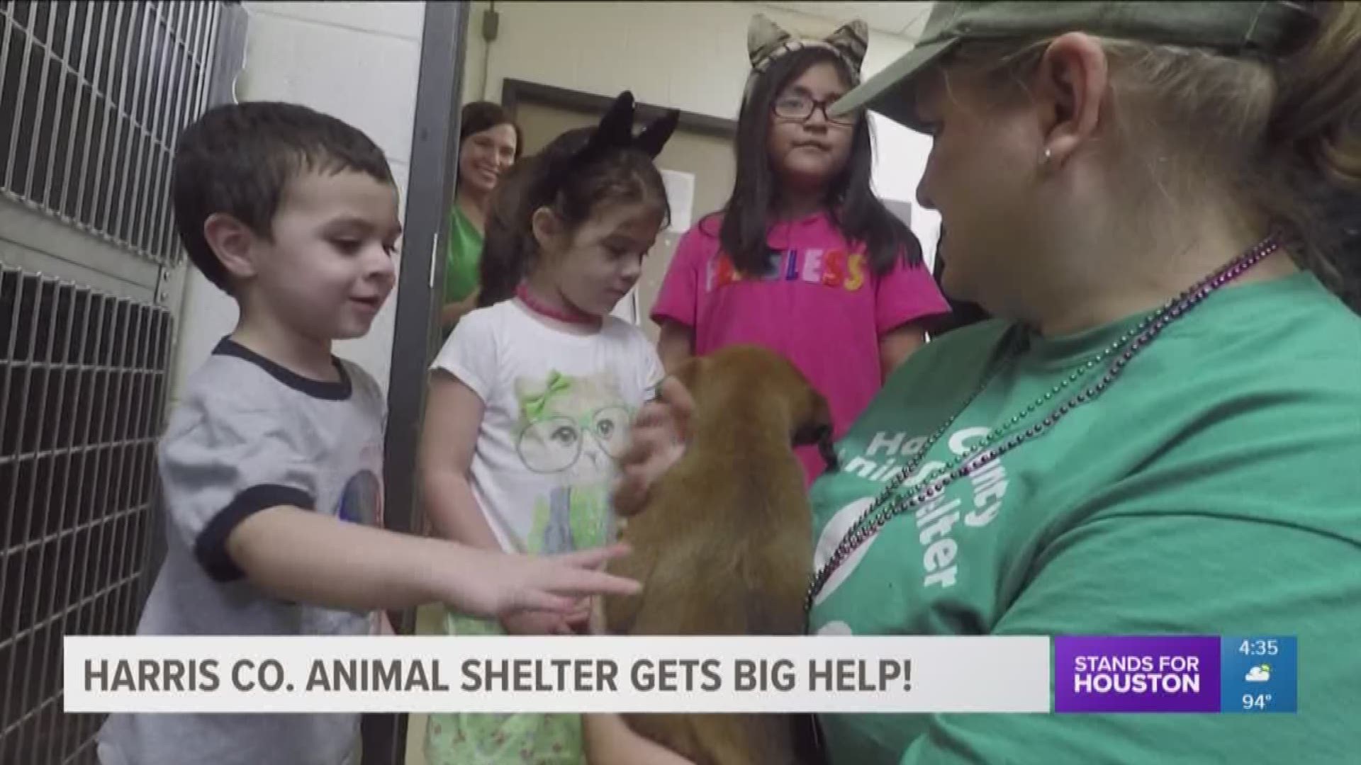 155 animals adopted from Harris County Animal Shelter this weekend ...