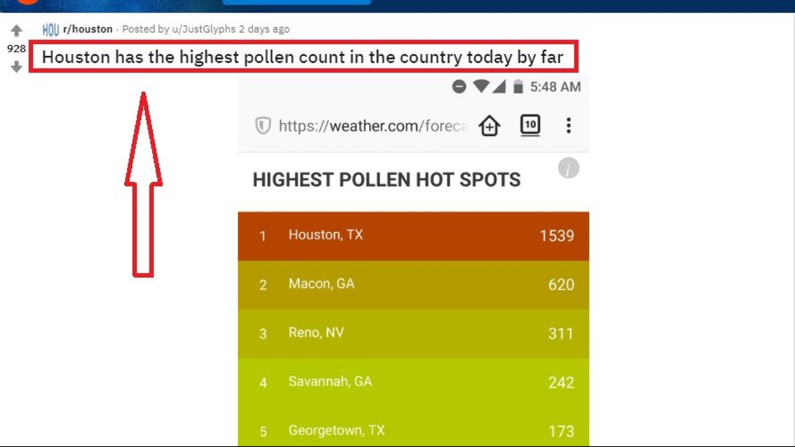 Nothing to sneeze at: Houston has high pollen count but so does ...