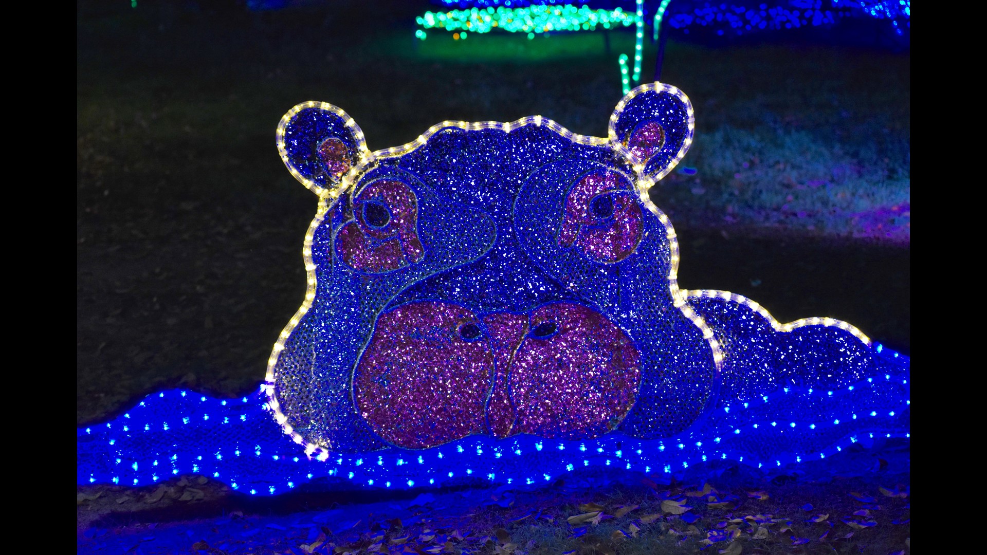 Photos: Houston Zoo lights | khou.com