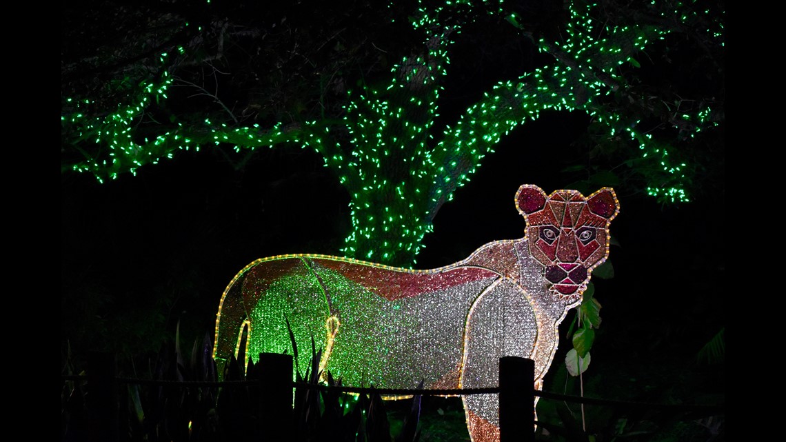 Photos: Houston Zoo lights | khou.com
