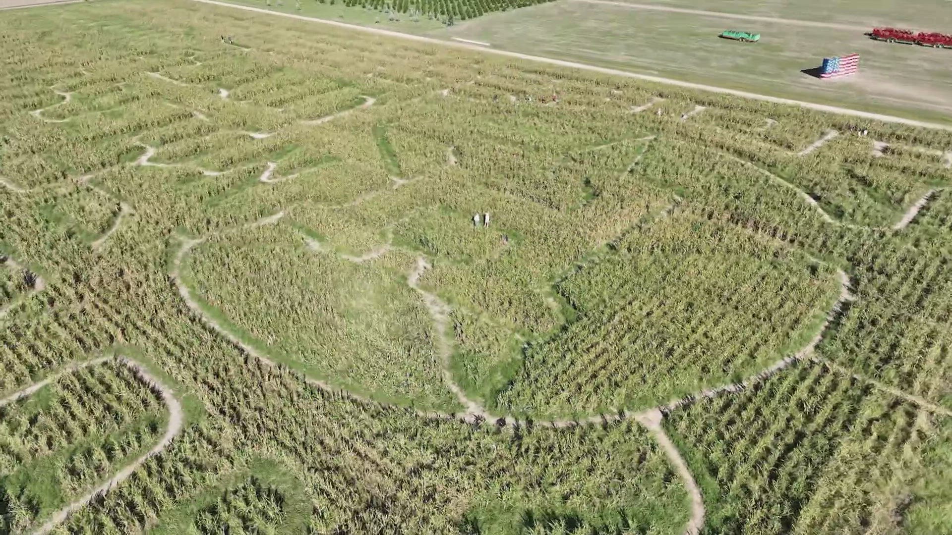 Dewberry Farm corn maze is an Astros logo! | khou.com