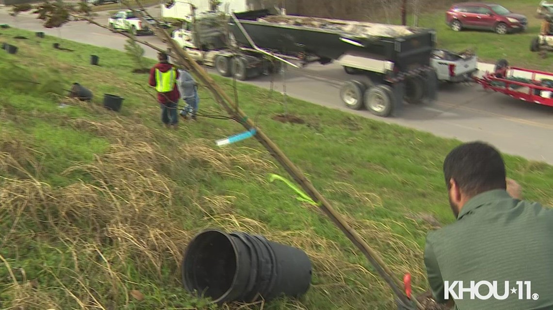 More trees being planted across Houston to cool neighborhoods | khou.com