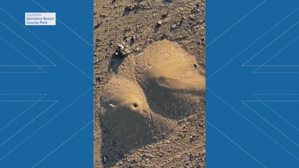 Here's why these 'mini volcanoes' on Texas beaches are critical | khou.com