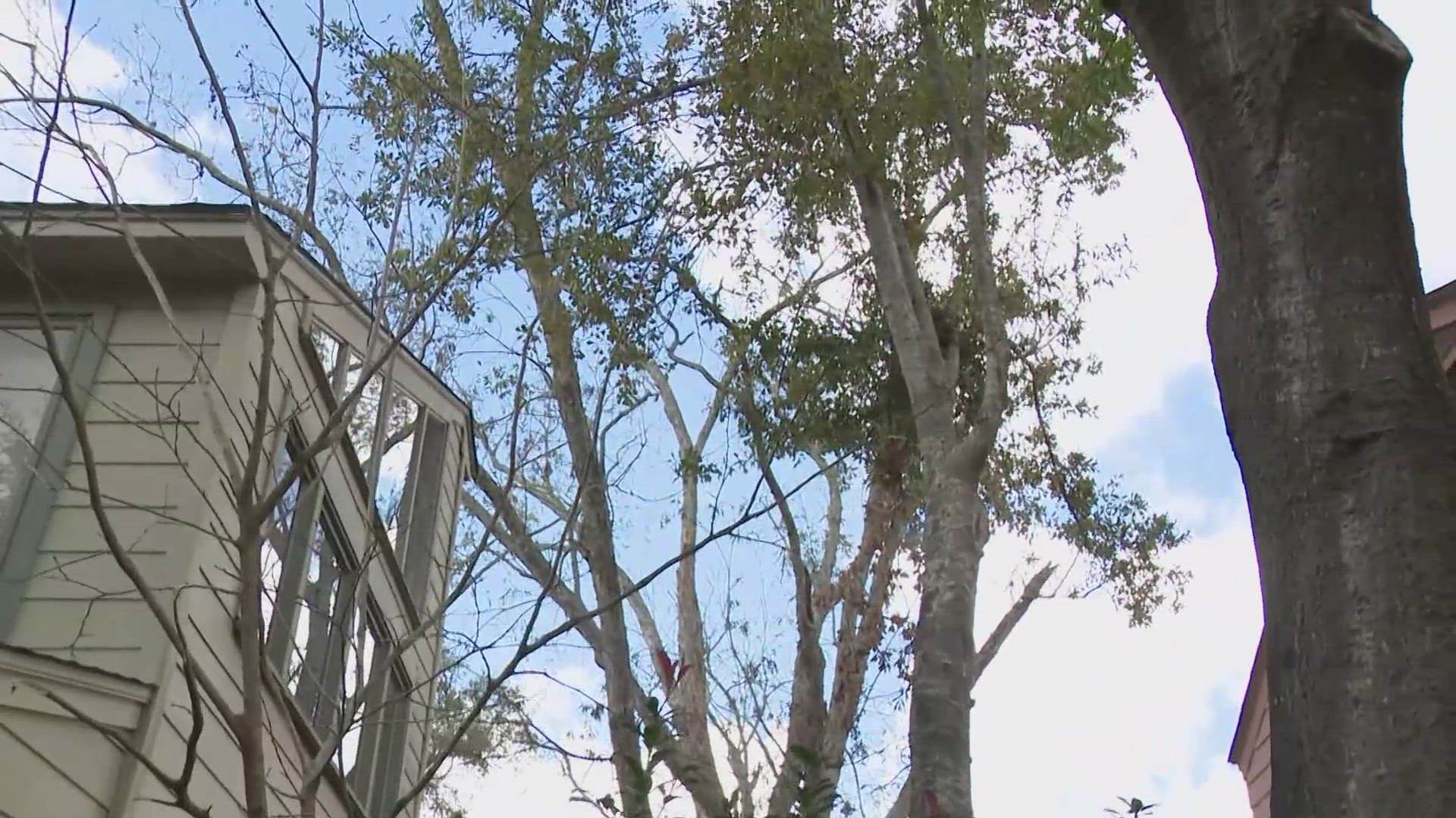 ‘Friendly knock’ leads to holiday scam inside West U home | khou.com