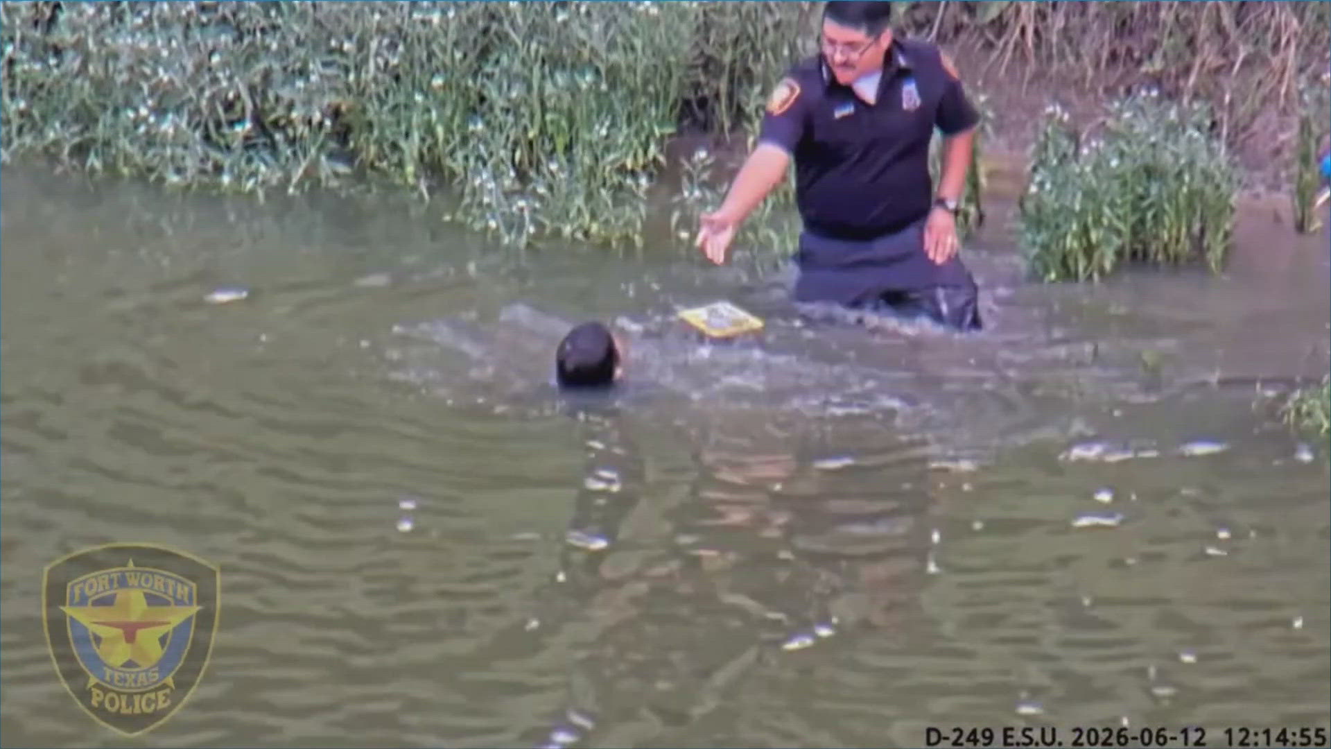 Catfish stocking arrives at Neighborhood Fishin' lakes across Texas ...