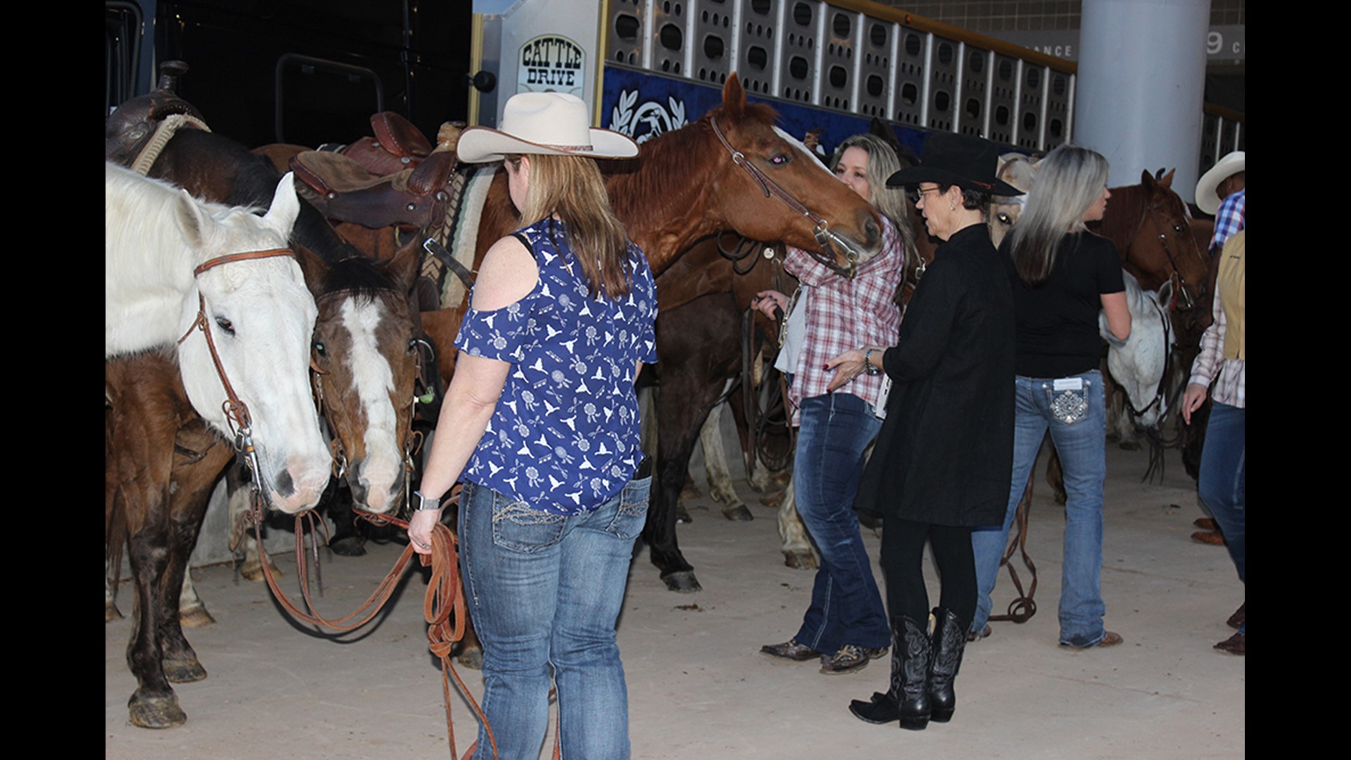 By the numbers: A look at the 2018 Houston Livestock Show and Rodeo ...