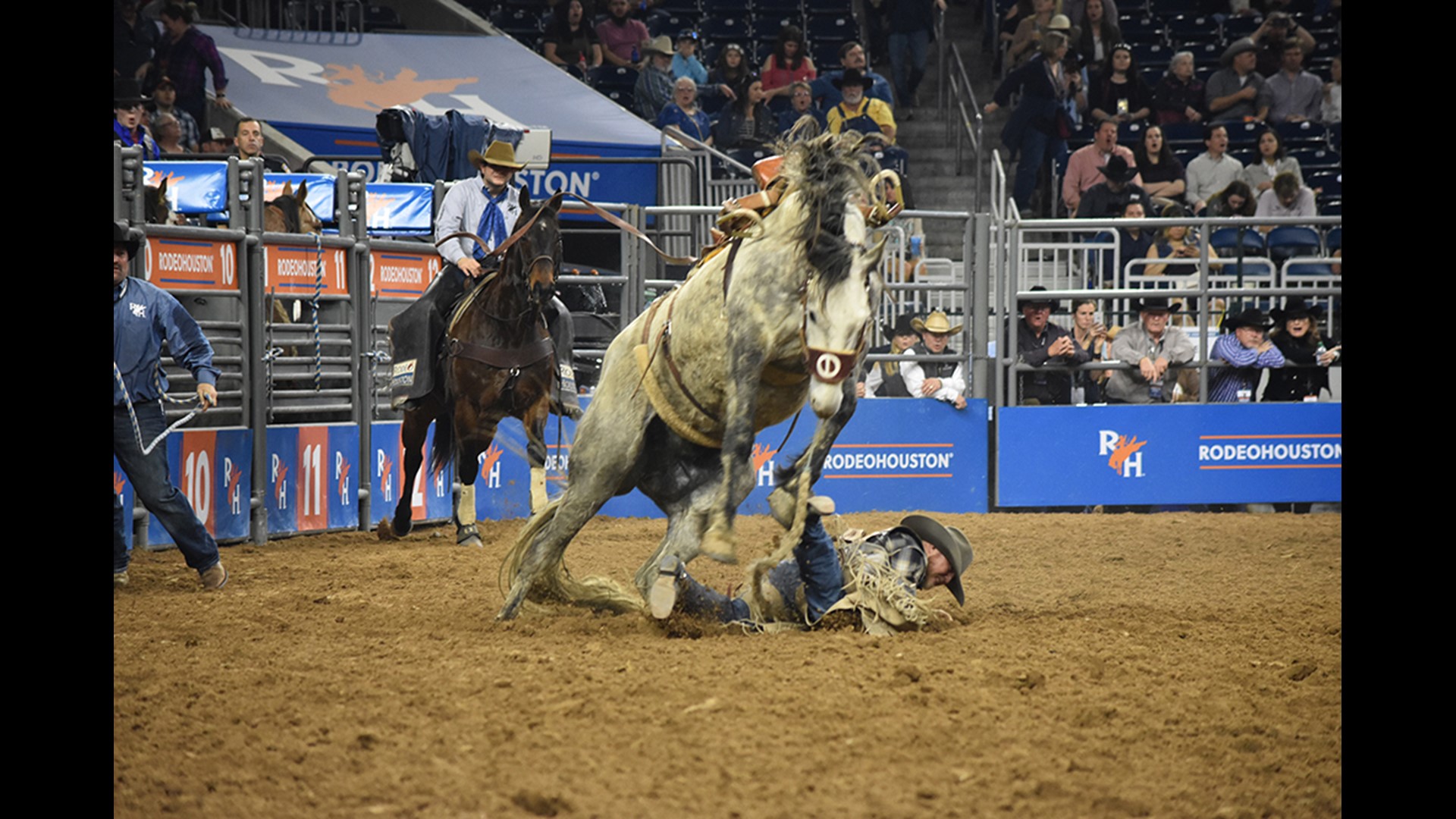 RodeoHouston raising some ticket prices in 2019 | khou.com