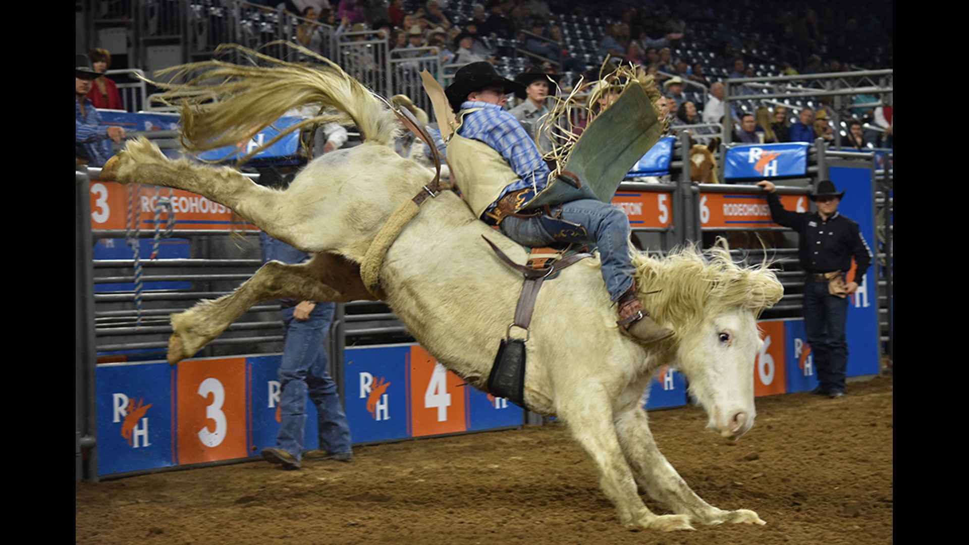 RodeoHouston raising some ticket prices in 2019 | khou.com