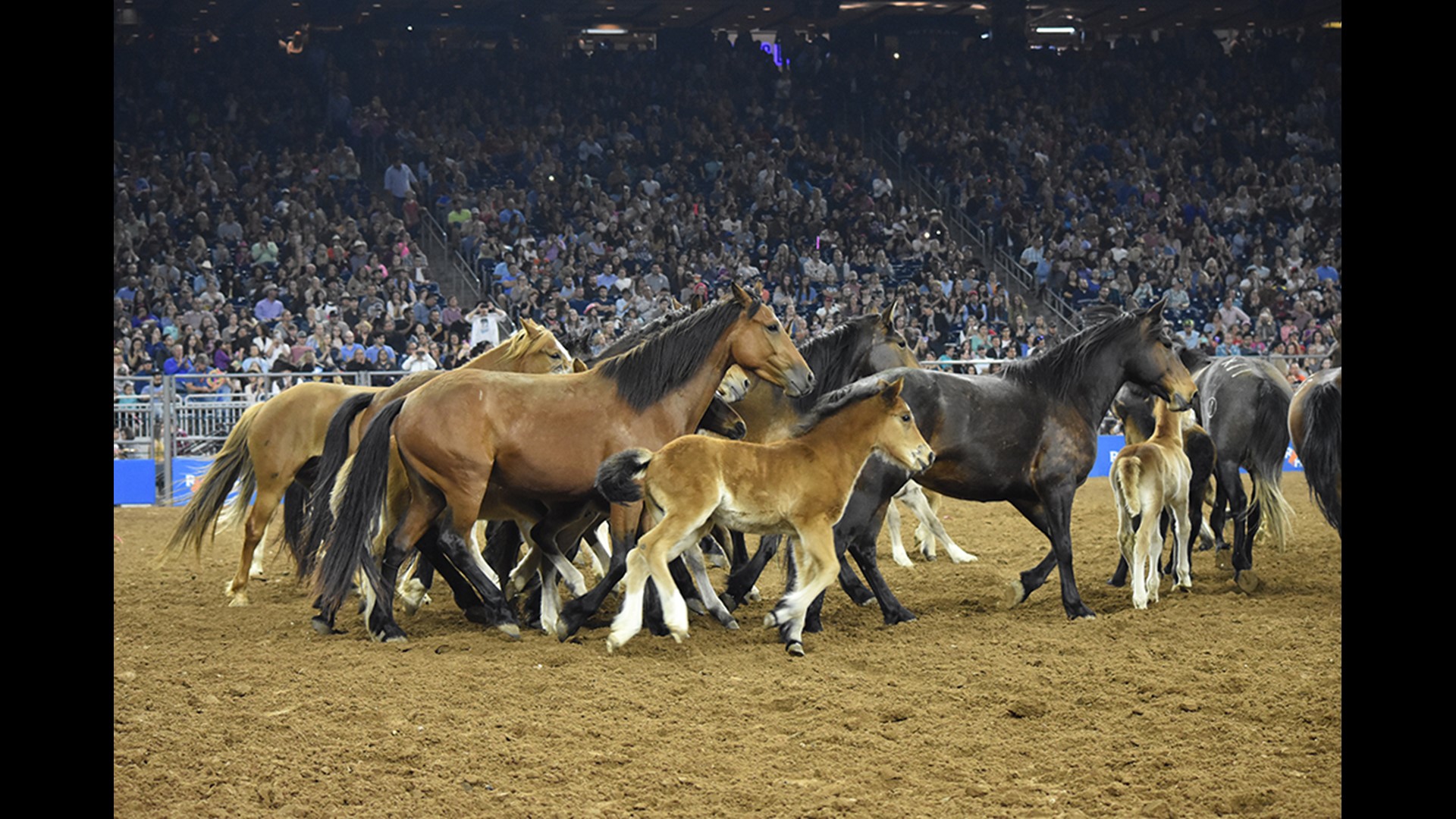 Houston rodeo lineup for 2020: Full calendar revealed | khou.com