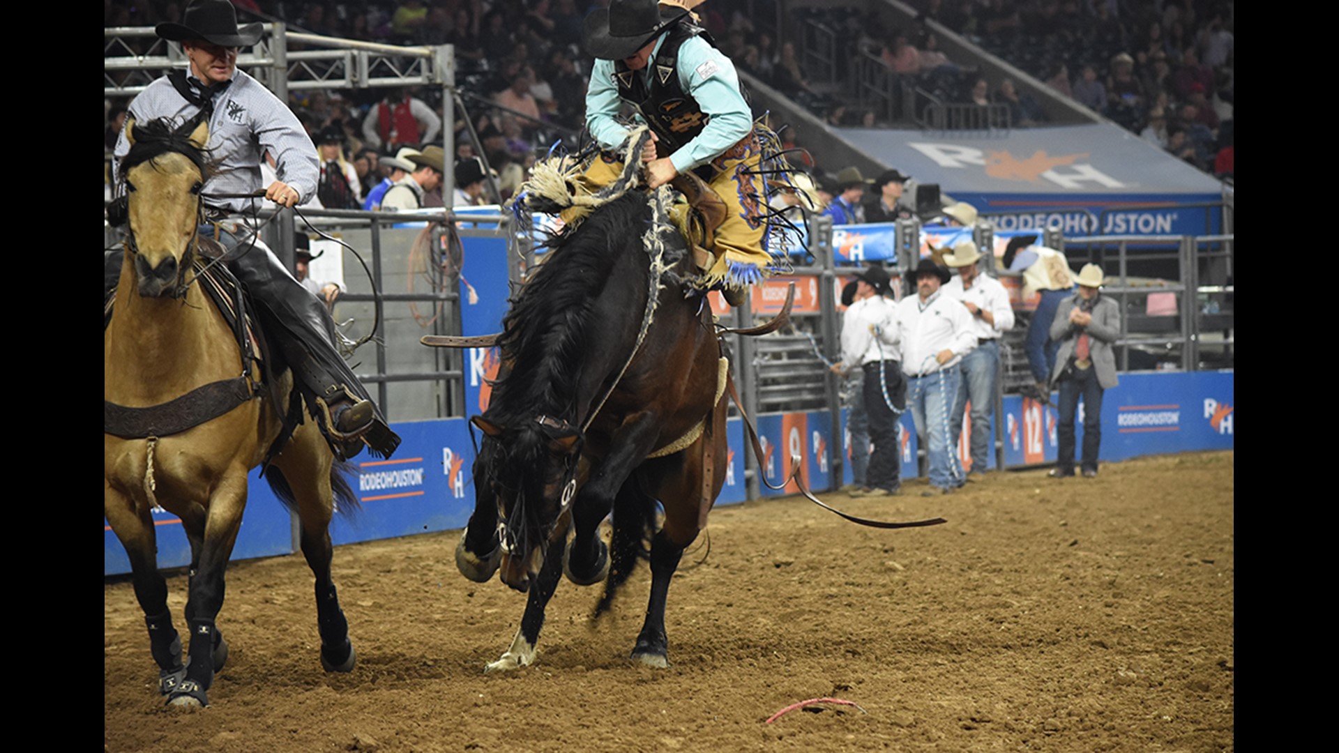 By the numbers: A look at the 2018 Houston Livestock Show and Rodeo ...