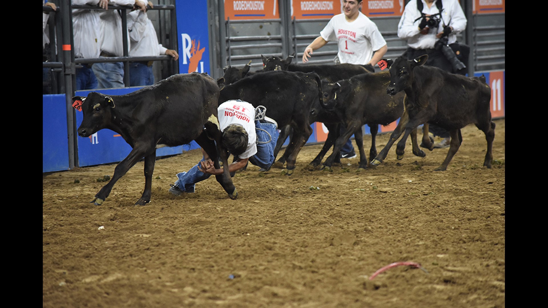 Photos: Calf Scramble at RodeoHouston | khou.com
