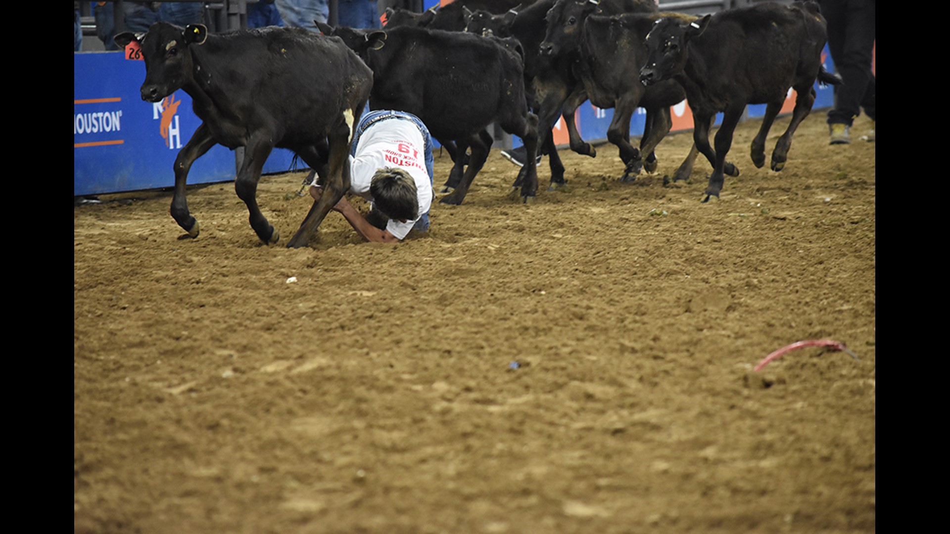 Photos: Calf Scramble at RodeoHouston | khou.com