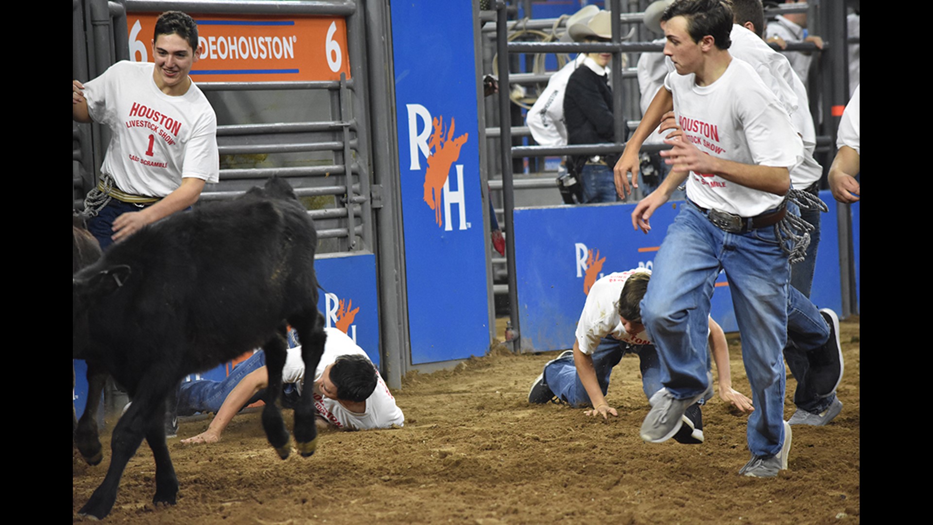 Photos: Calf Scramble at RodeoHouston | khou.com