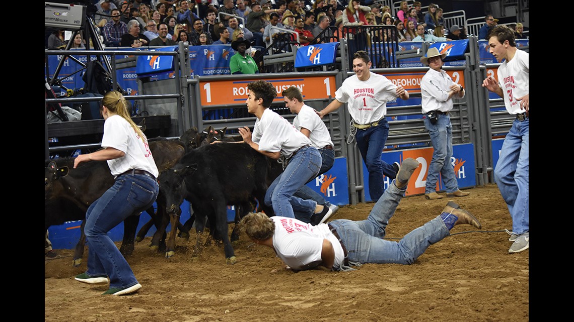 Photos: Calf Scramble at RodeoHouston | khou.com