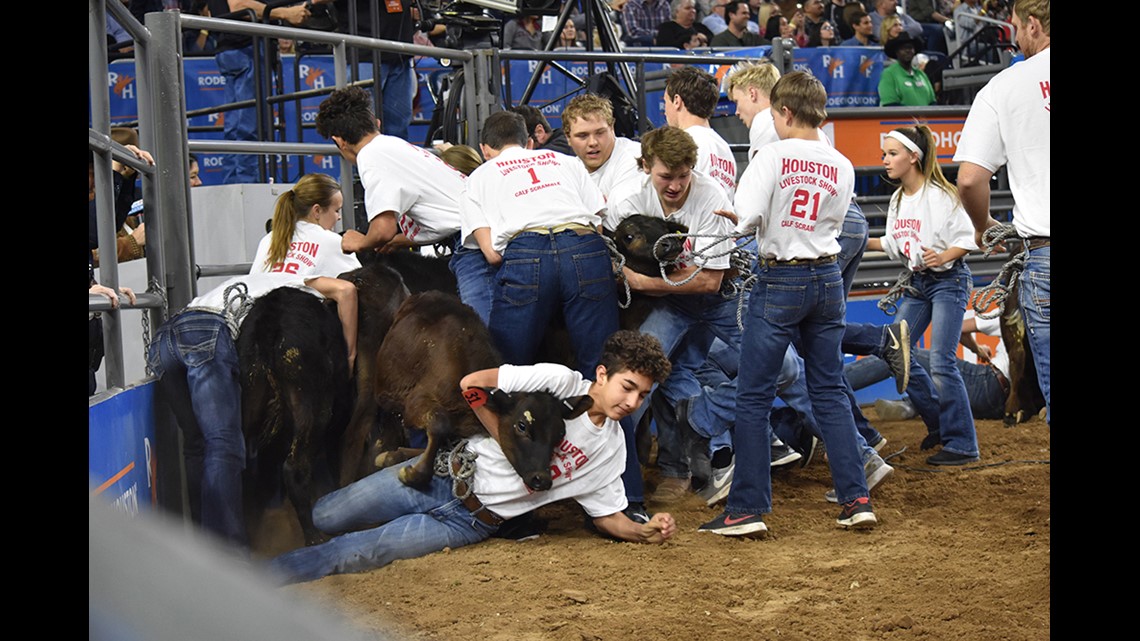 Photos: Calf Scramble at RodeoHouston | khou.com