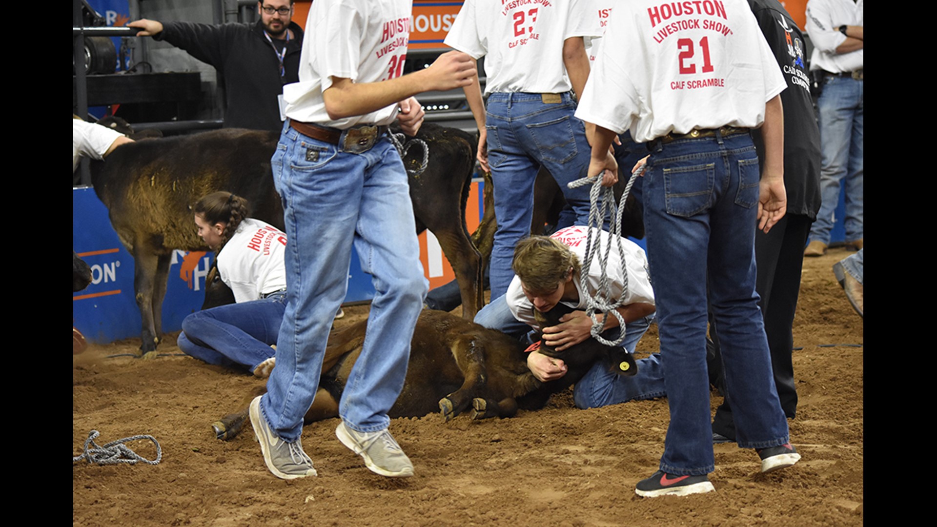 Photos: Calf Scramble at RodeoHouston | khou.com