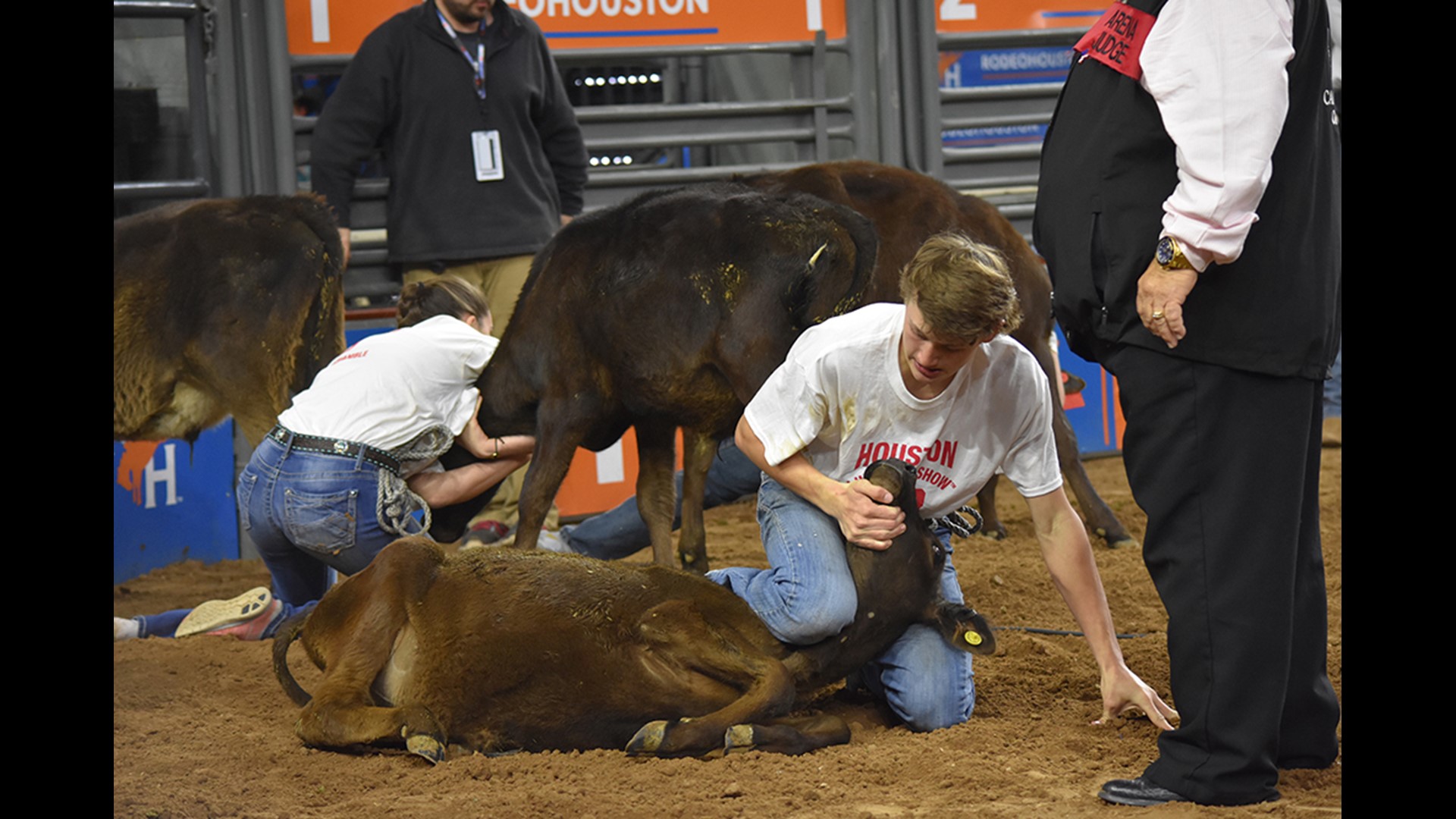 Photos: Calf Scramble at RodeoHouston | khou.com