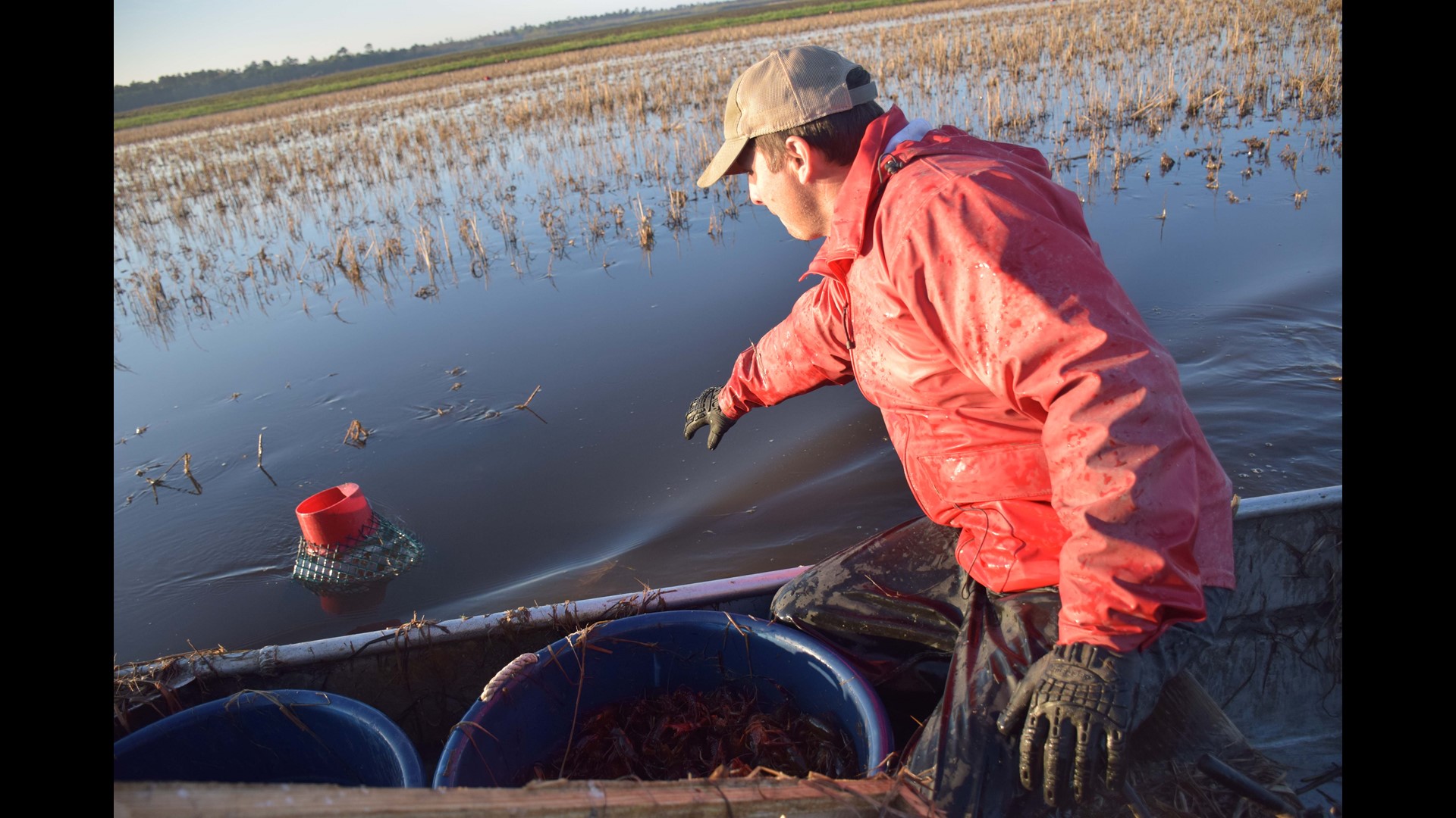 The Crawfish Farmers | khou.com