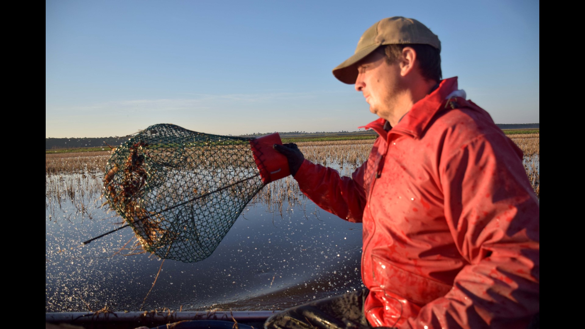 The Crawfish Farmers | khou.com