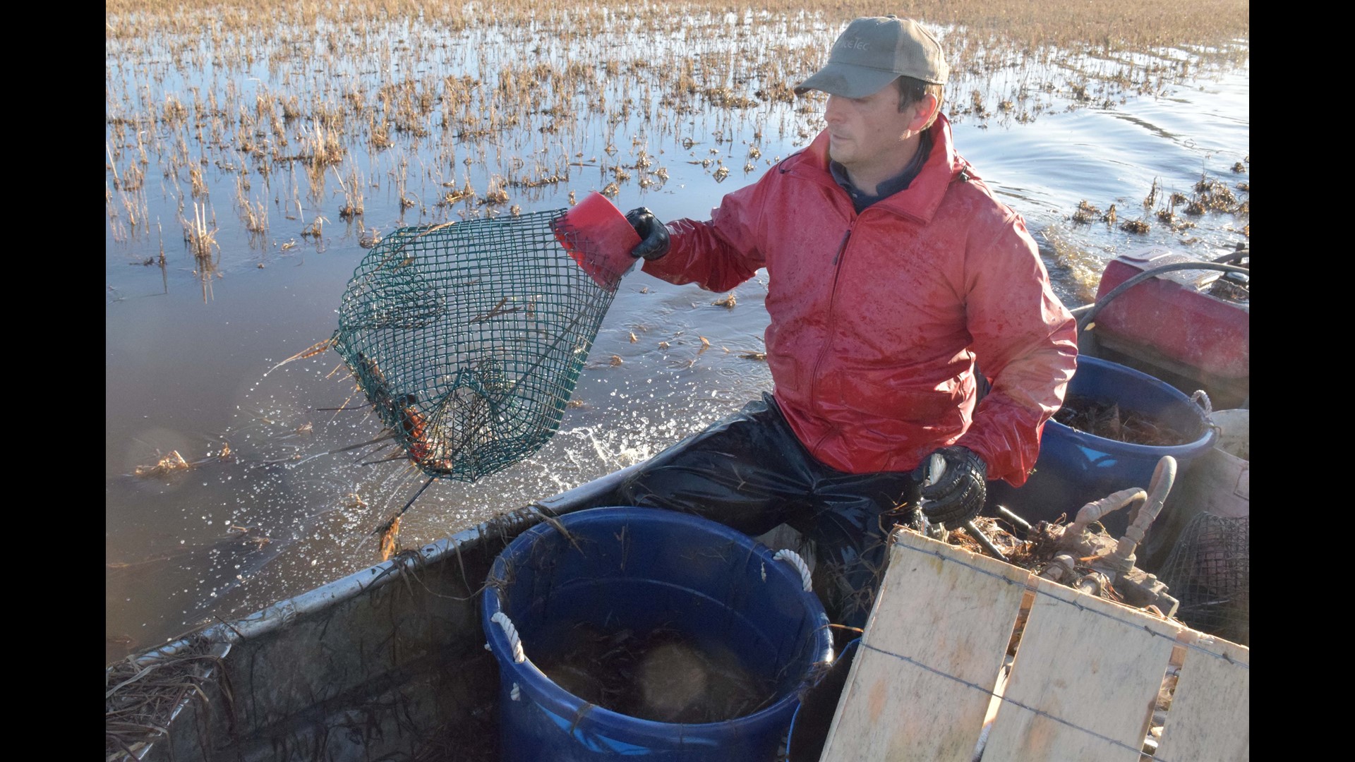 Photos: The Crawfish Farmers | khou.com