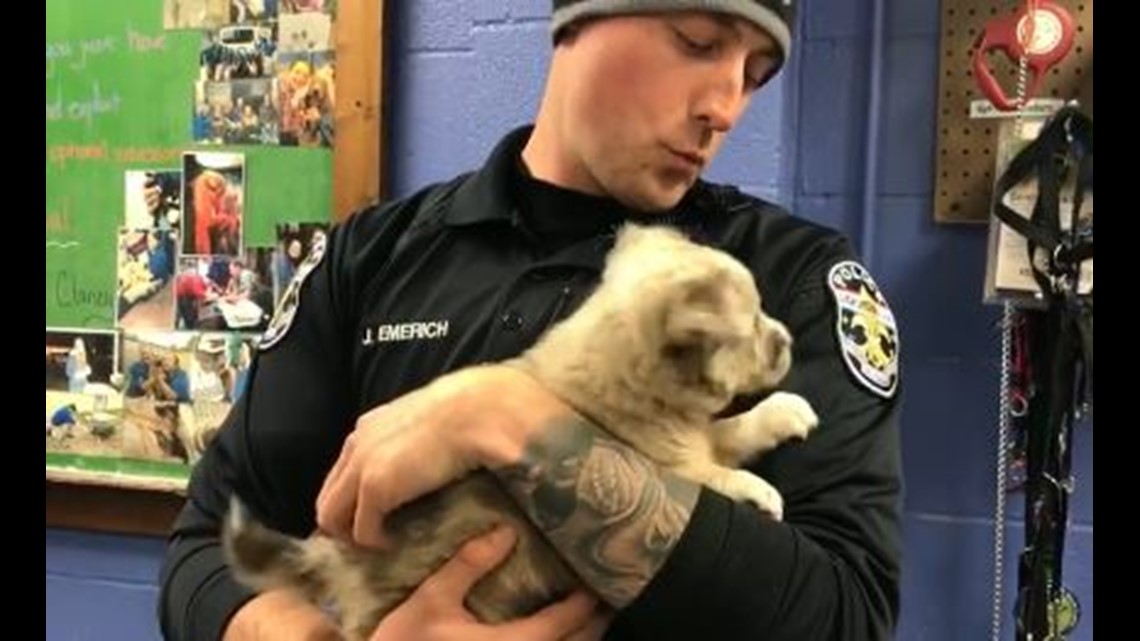 Police officer adopts puppy he saved | khou.com