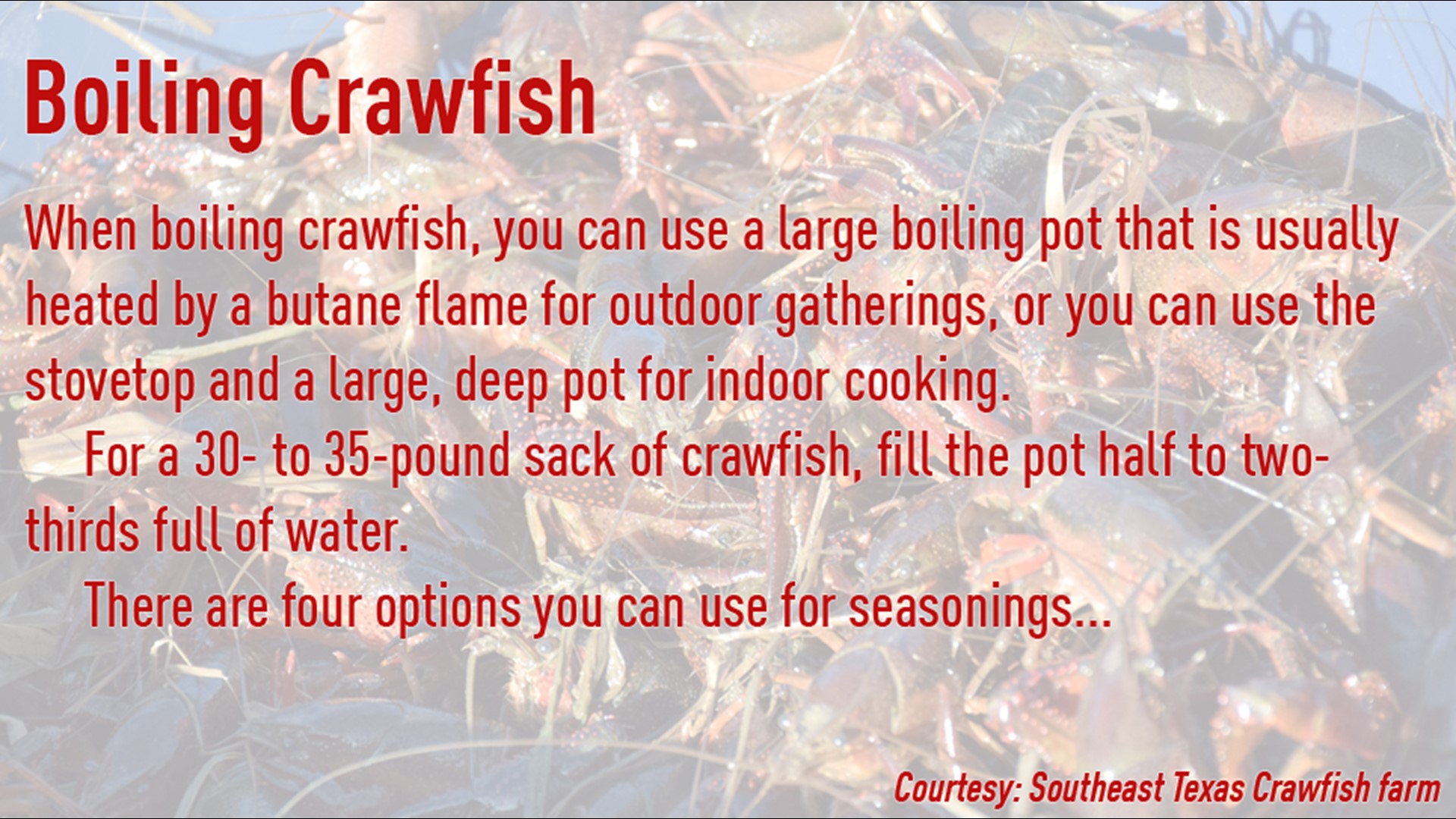 This is how to cook crawfish, Southeast Texas Crawfish Farm style ...