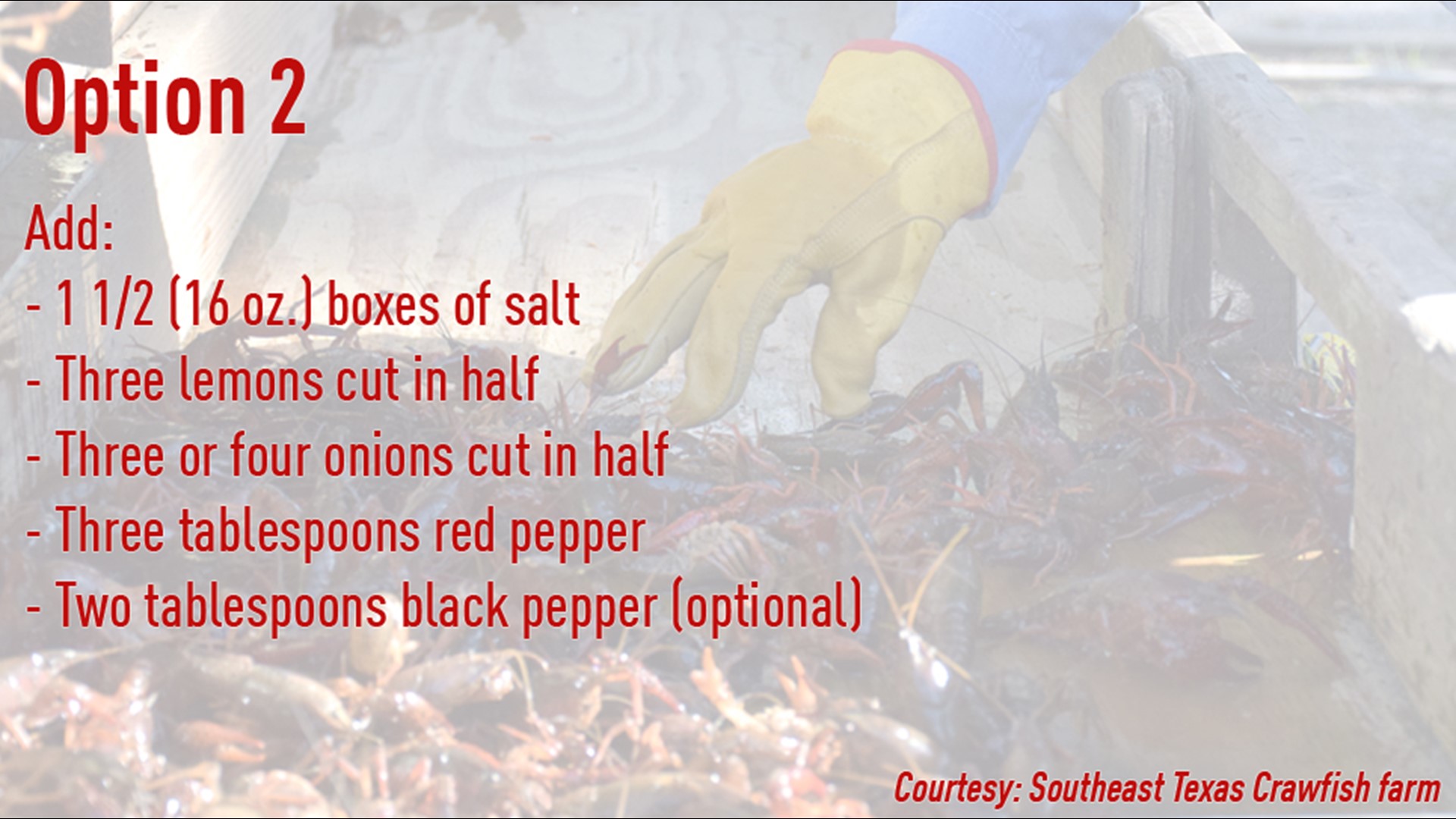 This is how to cook crawfish, Southeast Texas Crawfish Farm style ...