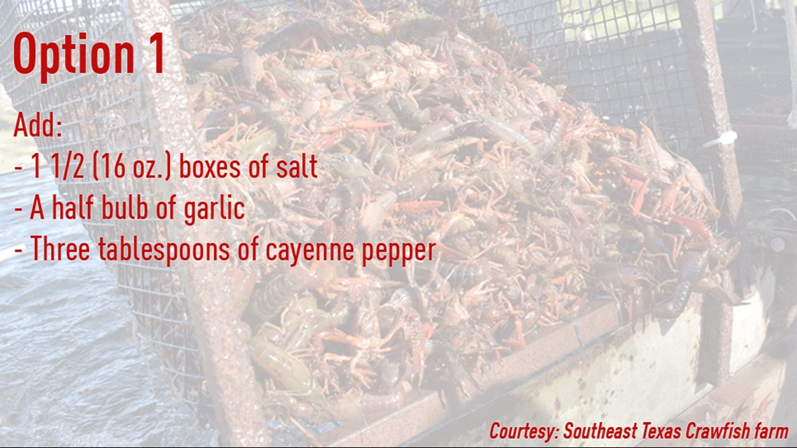 This is how to cook crawfish, Southeast Texas Crawfish Farm style ...