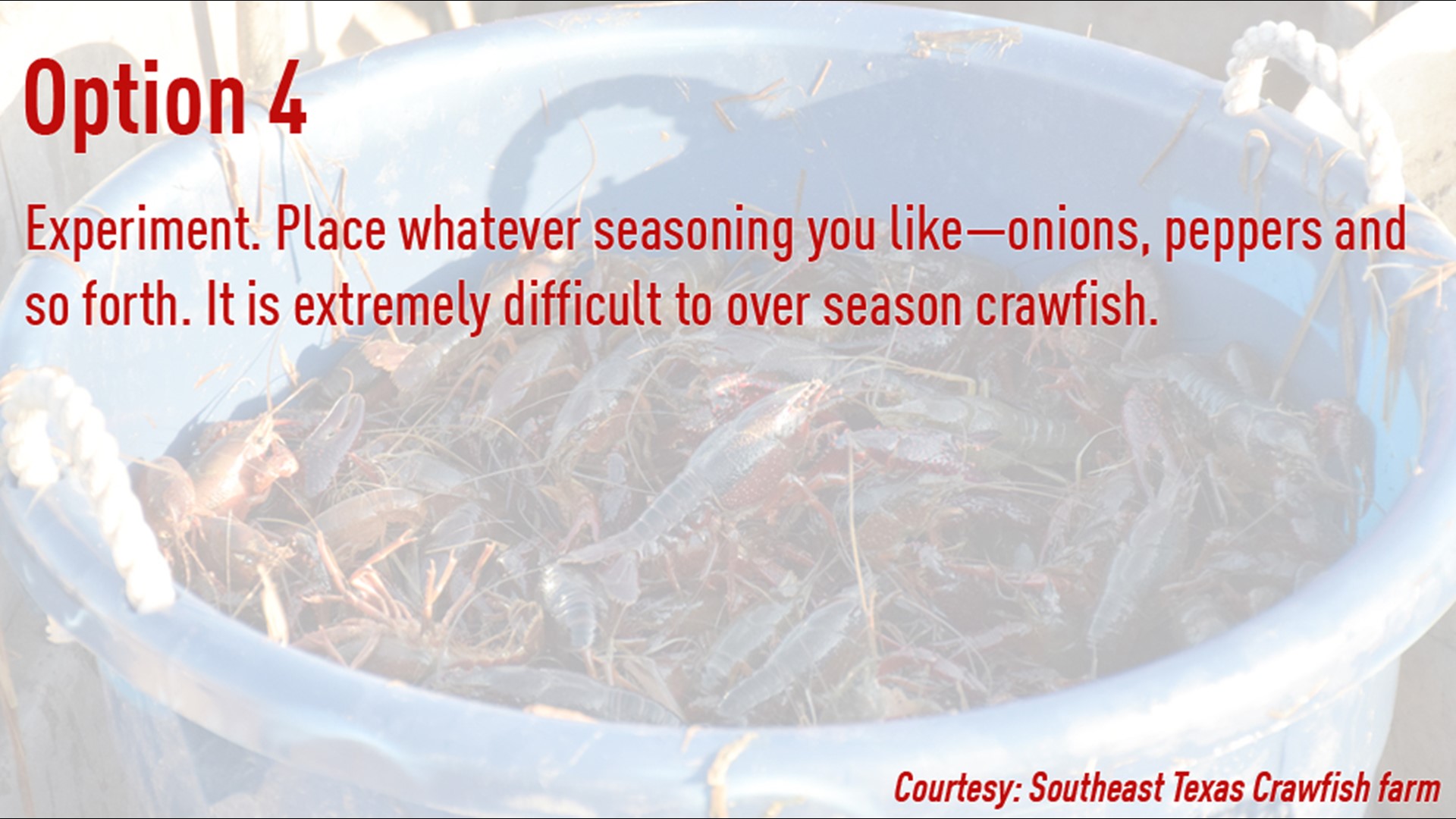 This is how to cook crawfish, Southeast Texas Crawfish Farm style ...