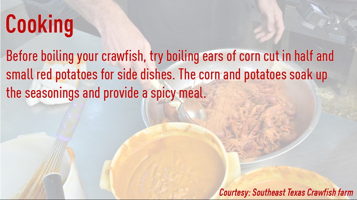 This is how to cook crawfish, Southeast Texas Crawfish Farm style ...