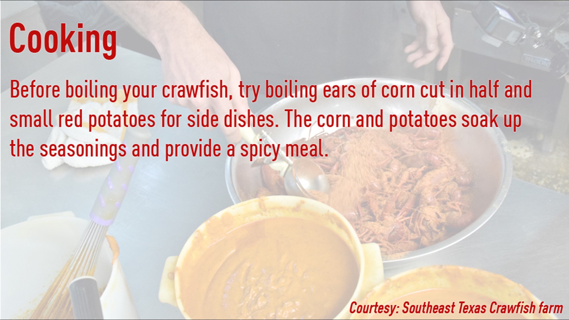 This is how to cook crawfish, Southeast Texas Crawfish Farm style ...