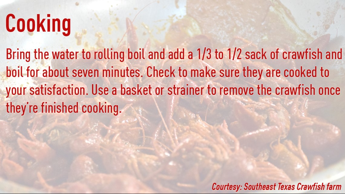 This is how to cook crawfish, Southeast Texas Crawfish Farm style ...