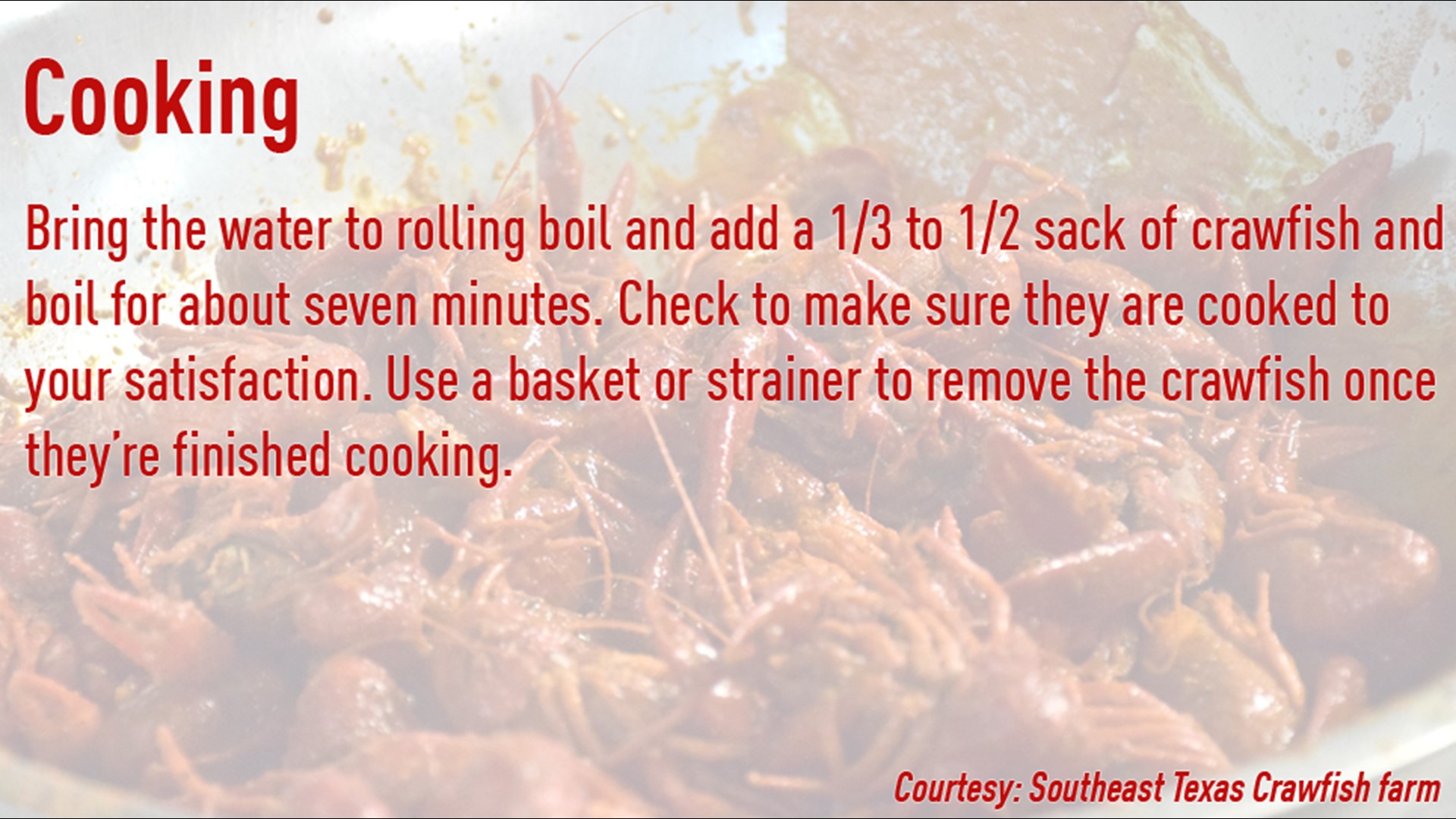 This is how to cook crawfish, Southeast Texas Crawfish Farm style ...