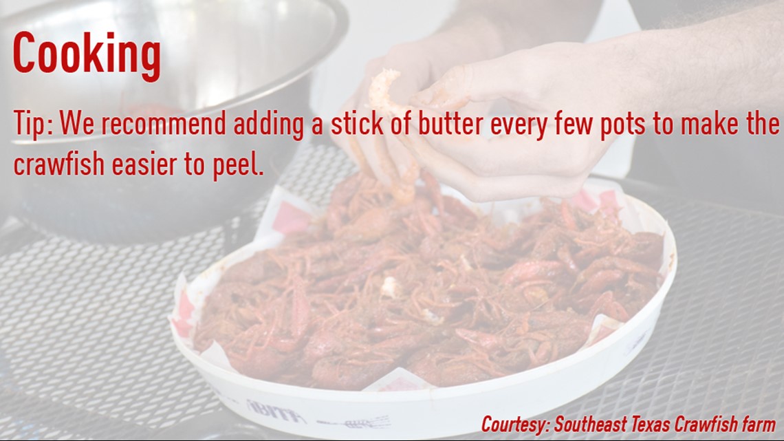 This is how to cook crawfish, Southeast Texas Crawfish Farm style ...