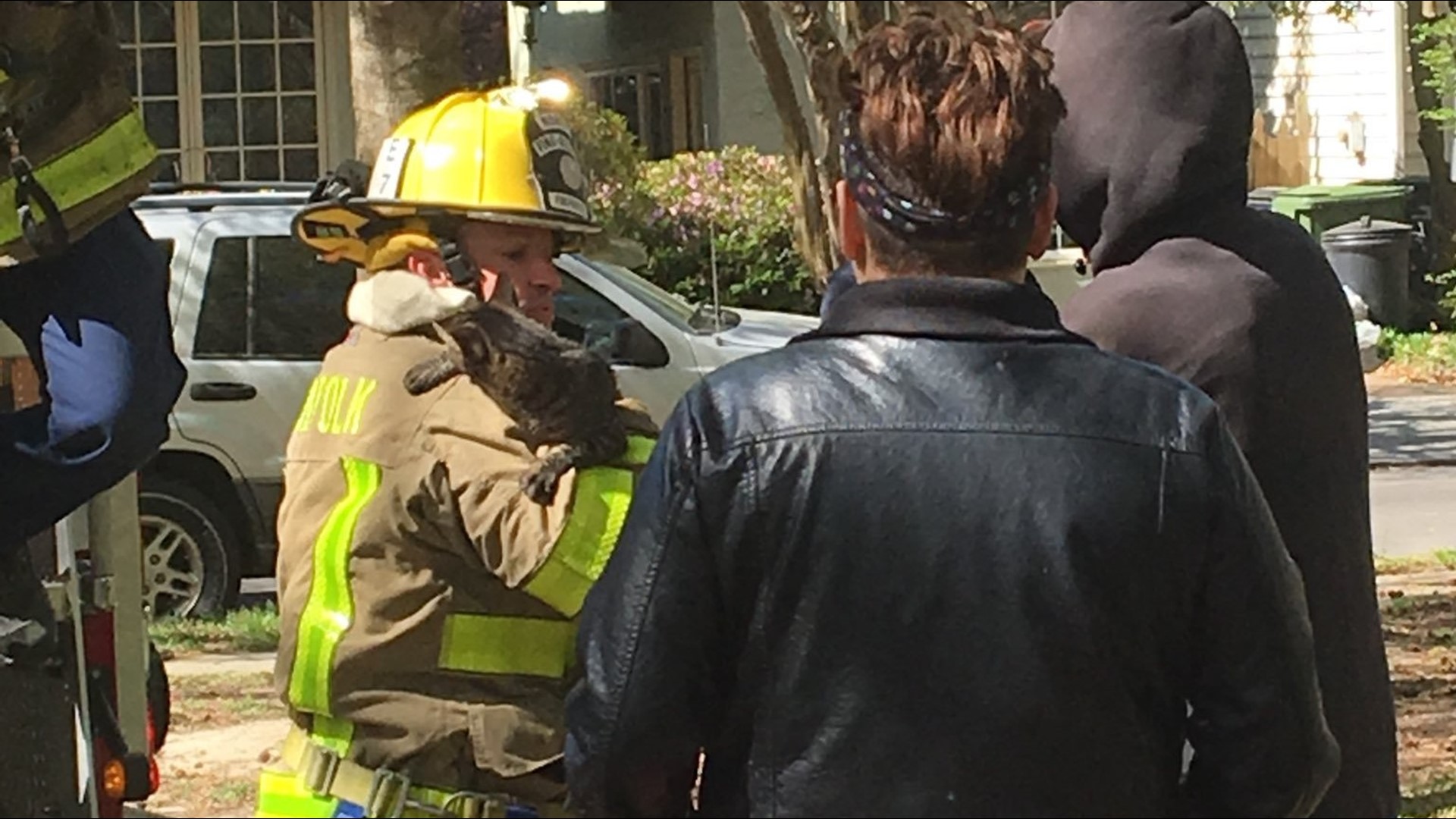 Virginia firefighters rescue man stuck in tree trying to rescue cat ...