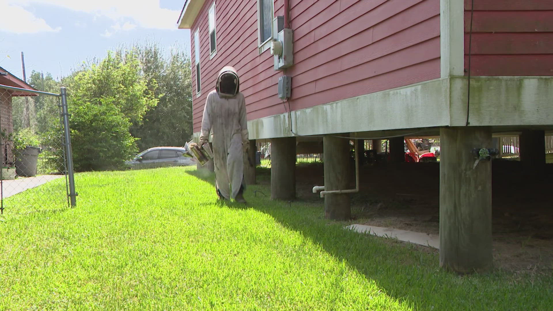 Beekeeper helps 80-year-old Hitchcock woman reclaim her home from ...