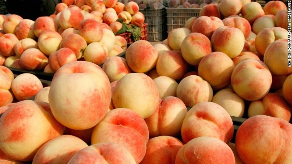 Peach season kicks off in Fredericksburg | khou.com