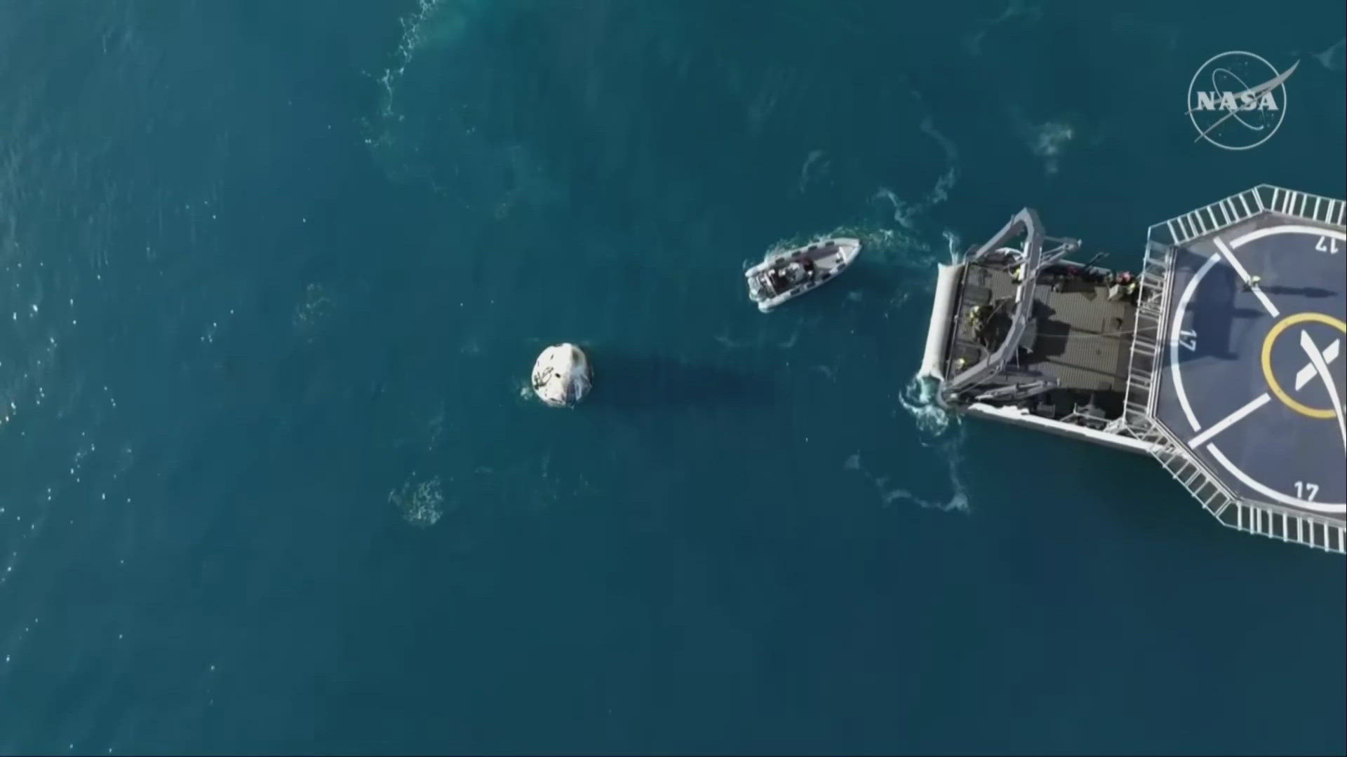 Pod of dolphins greets Dragon spacecraft after splash down in Gulf | khou.com