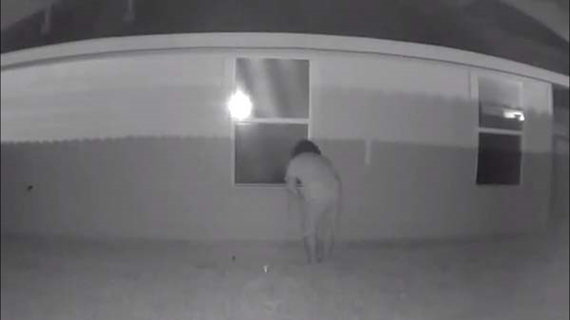 New cameras catch Katy man peeping into woman's window | khou.com