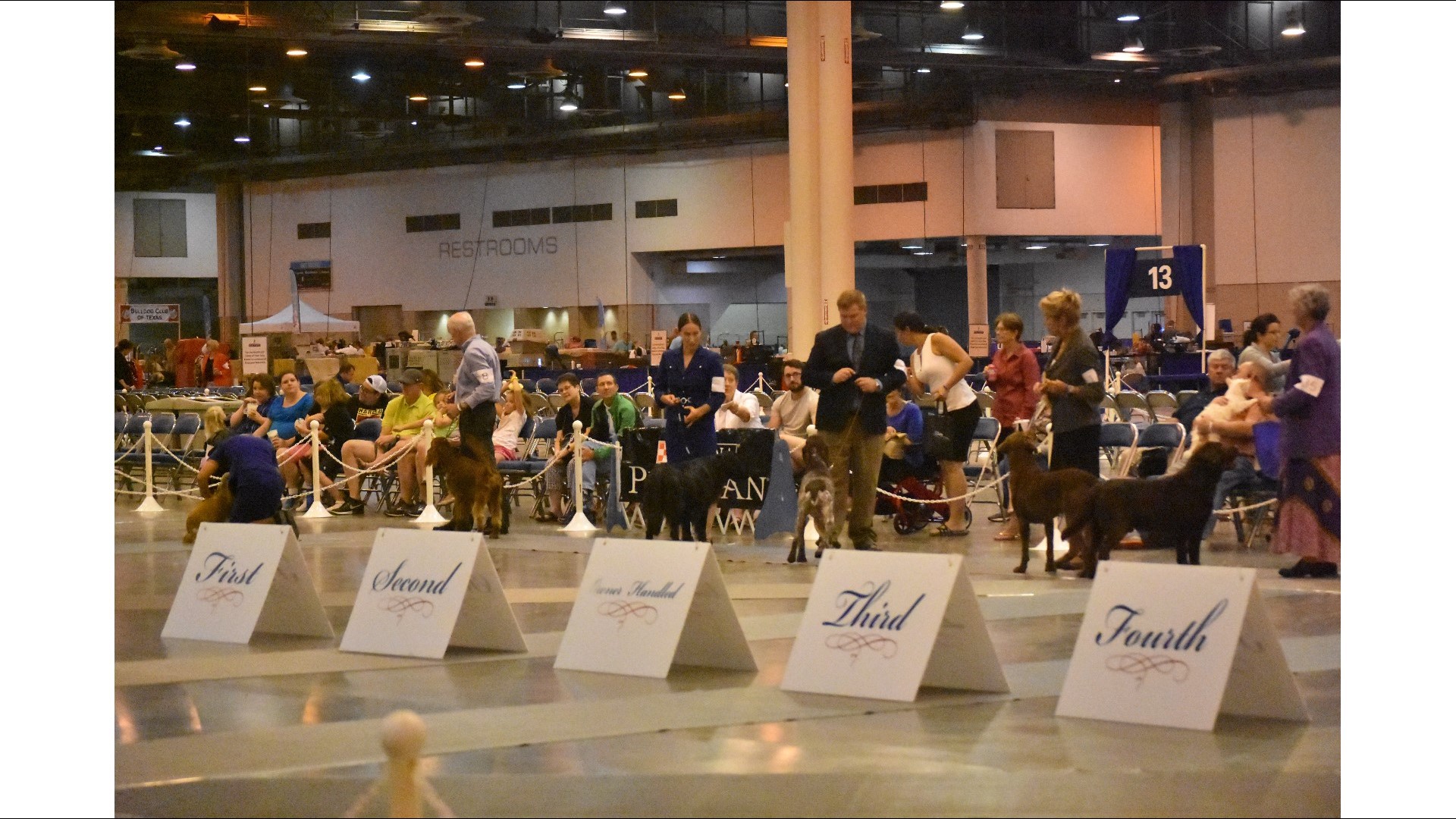 Photos: 41st annual Houston World Series of Dog Shows | khou.com