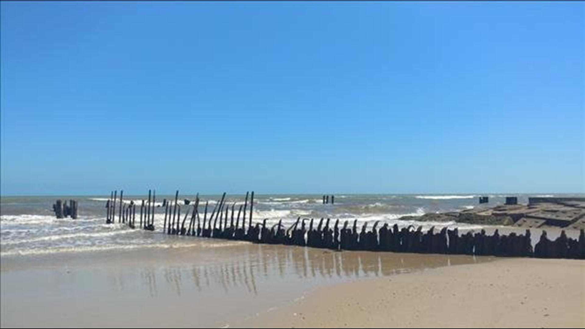 Man bitten by shark near Crystal Beach: 'He wanted to taste me' | khou.com