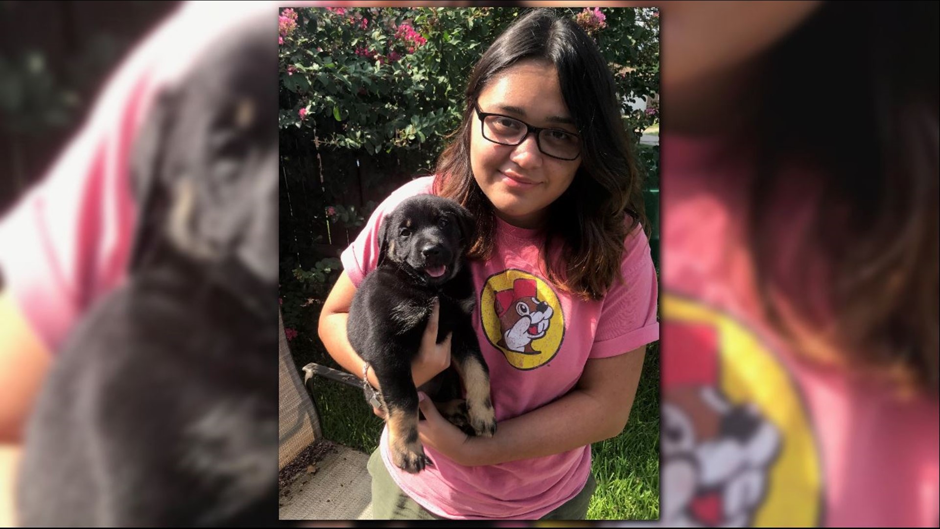Janelle the dog, pup gets adopted by 2 friends | khou.com