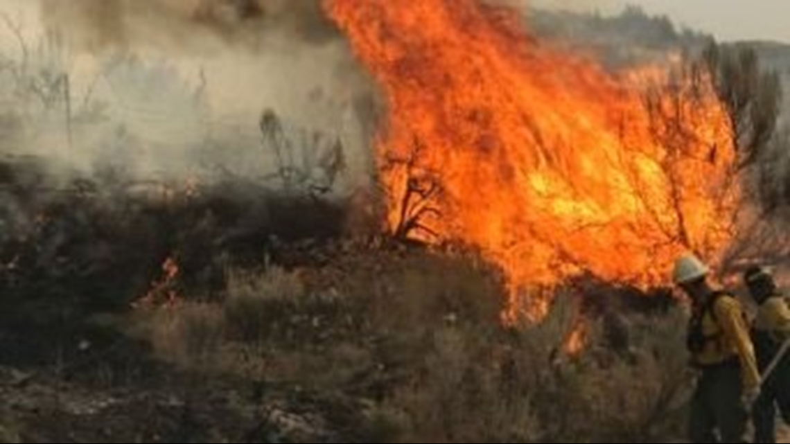 Wildfire forces evacuation of state park on Lake Chelan | khou.com