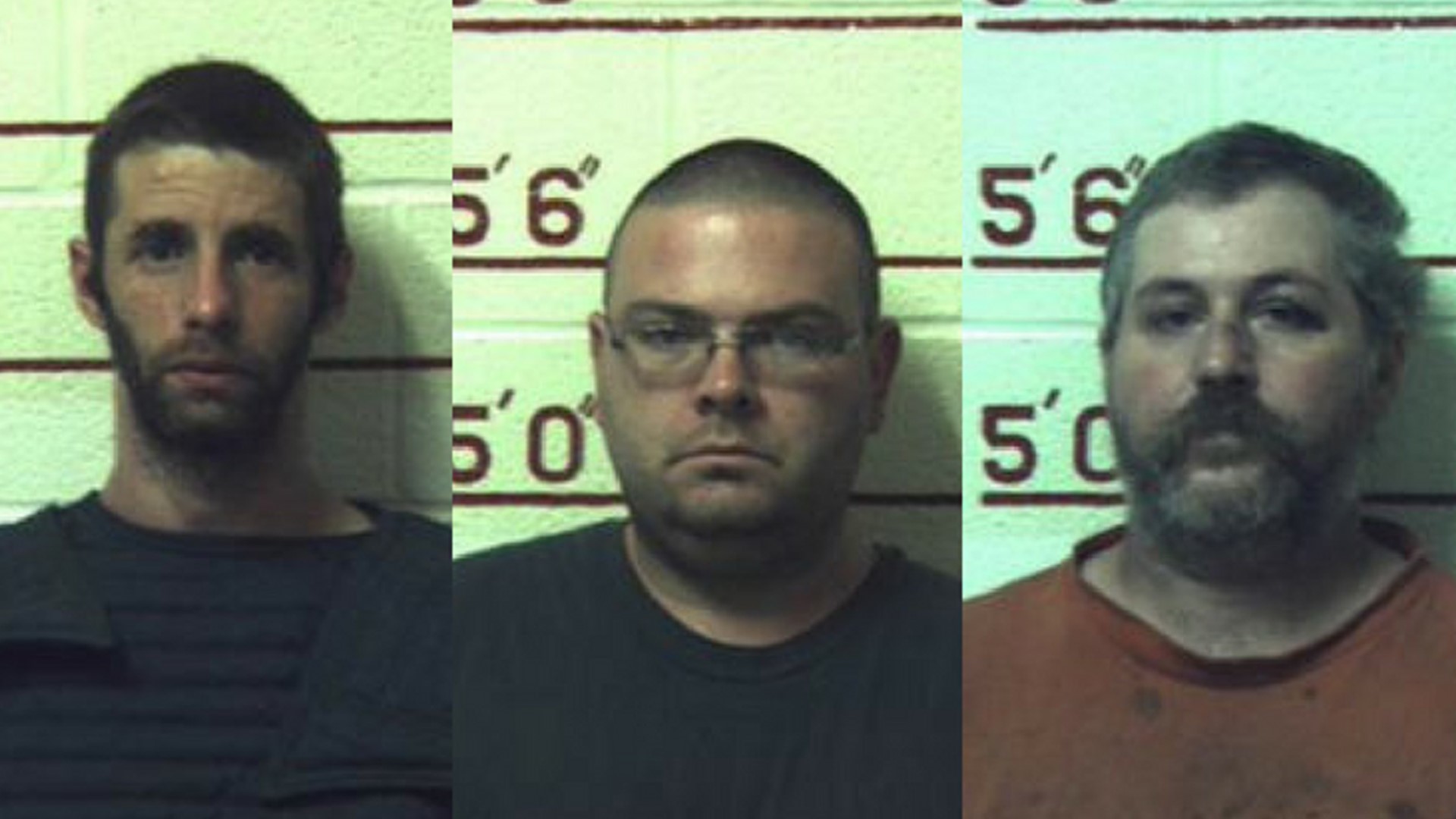 3 men facing 1,460 charges for allegedly having sex with farm animals ...