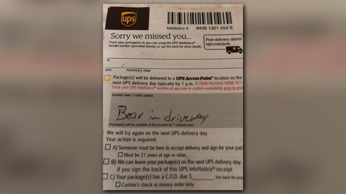 UPS driver leaves note after bear blocks delivery in North Carolina ...