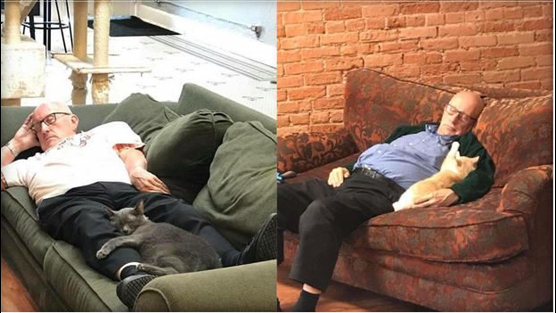 75-year-old man volunteers to nap with cats at animal sanctuary | khou.com