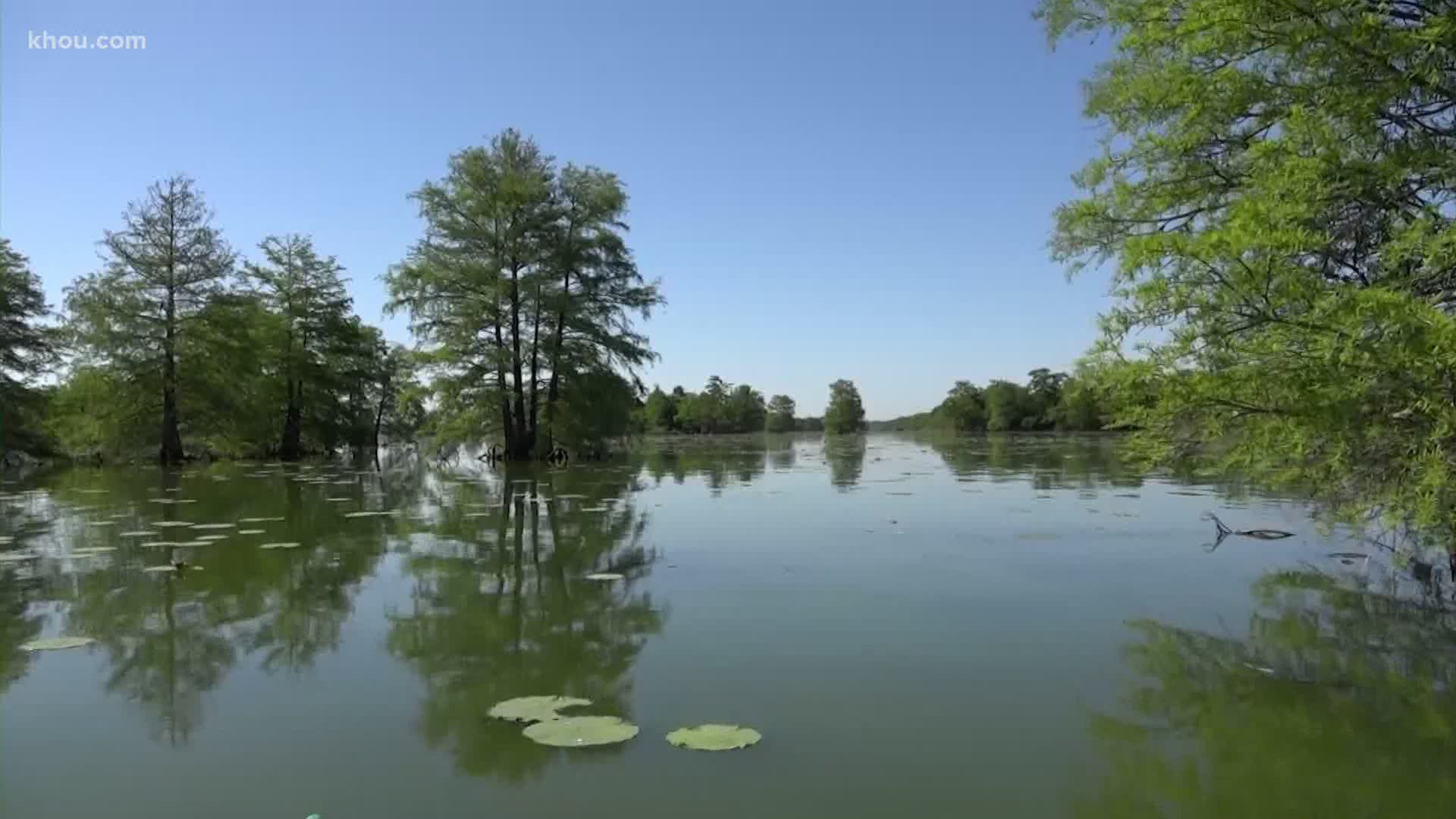 Moment of Zen: Sheldon Lake State Park | khou.com