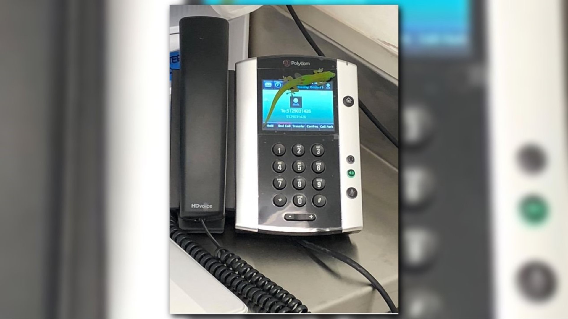 Hospital receives several mysterious phone calls. They came from a ...