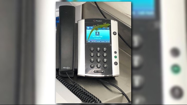 Hospital receives several mysterious phone calls. They came from a ...